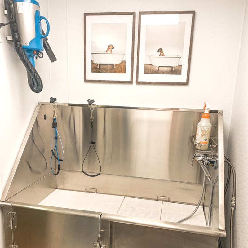 ABOUT - Quarry Dog Daycare