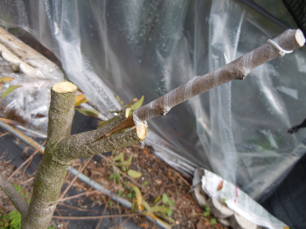 2 27 2014 002 — Postimages