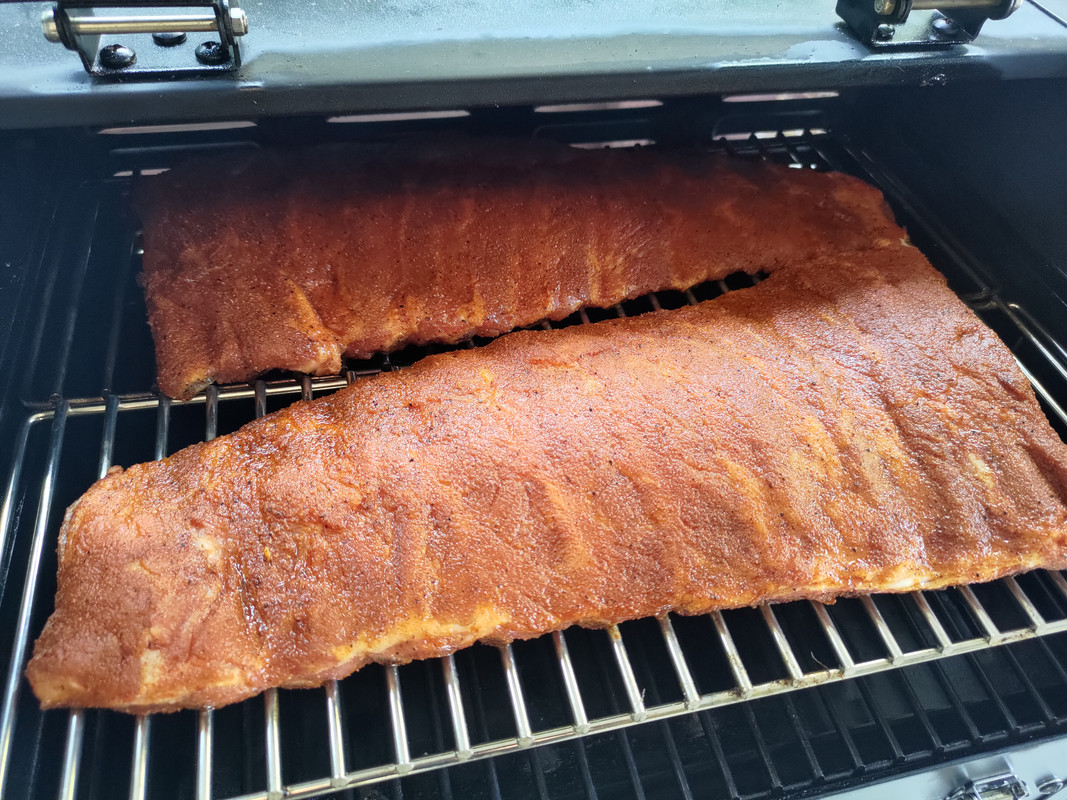 Oh NO I burned my ribs, Oh please help me WHY did I burn my ribs ...