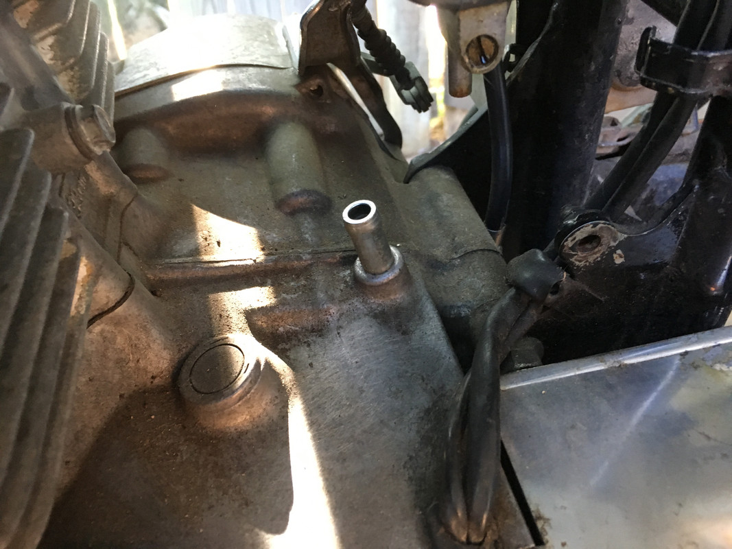 IMG 1825 2 — Postimages