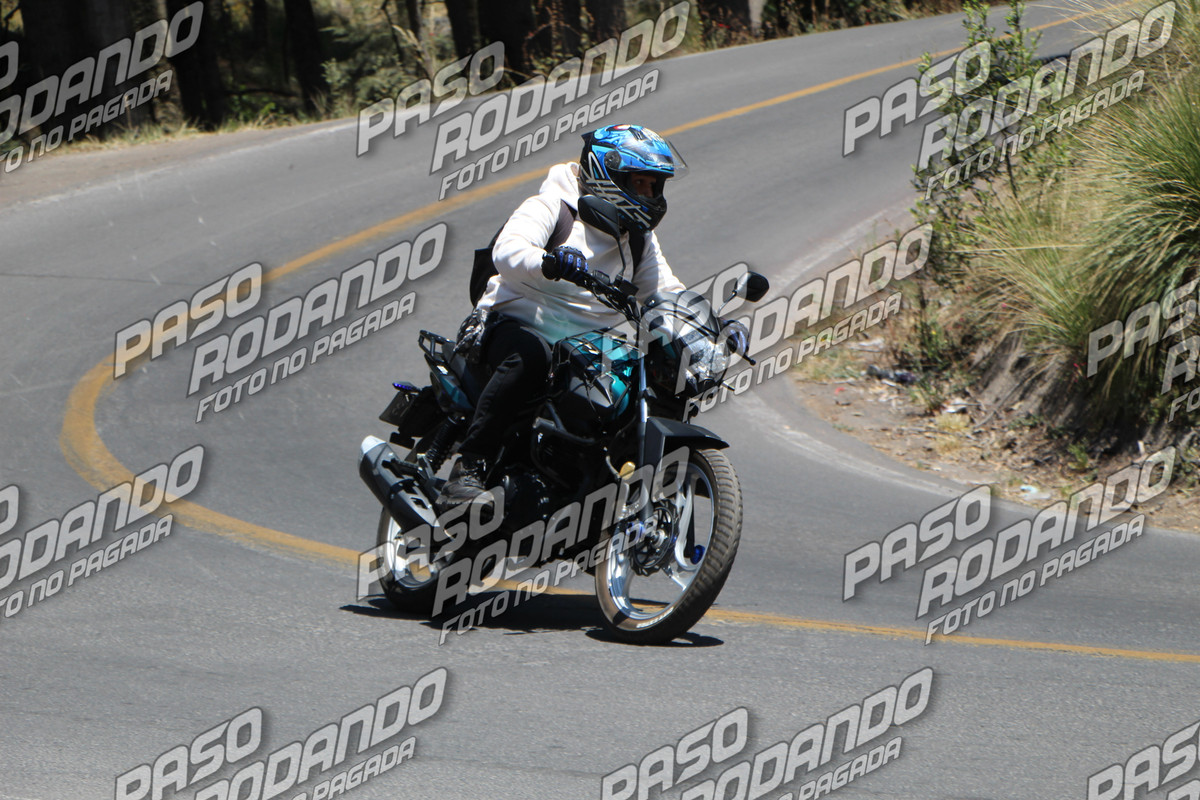 IMG 8062 wm 118939 watermarked — Postimages