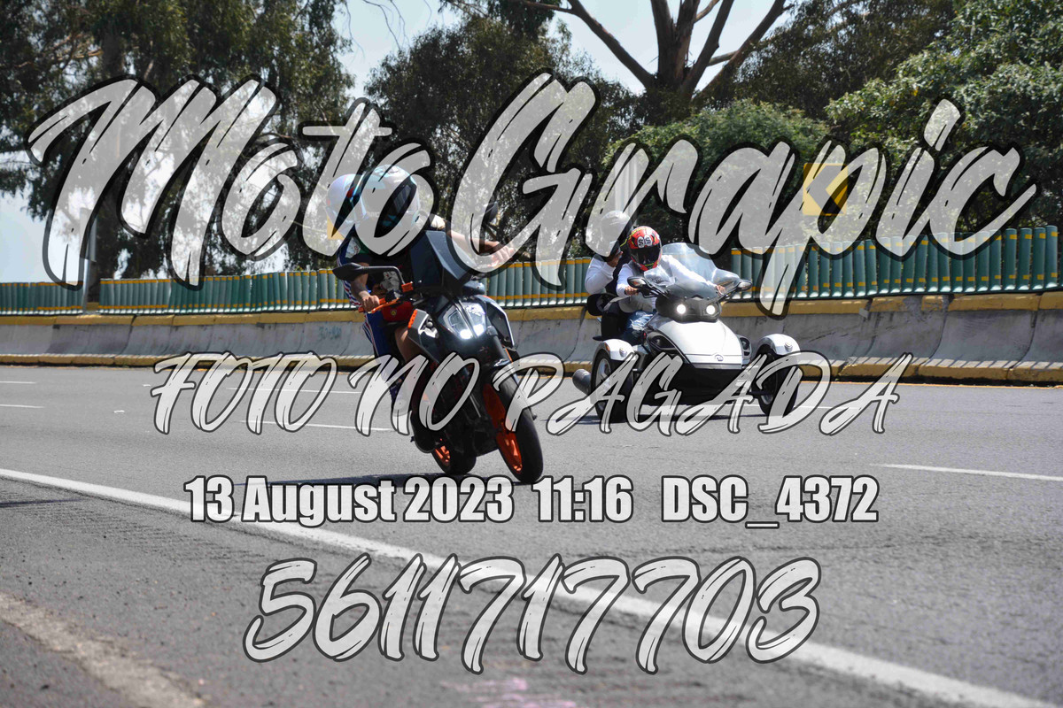 motgr DSC 4372 — Postimages