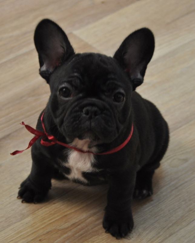 r Sw Cb Pb BXJs — Postimages