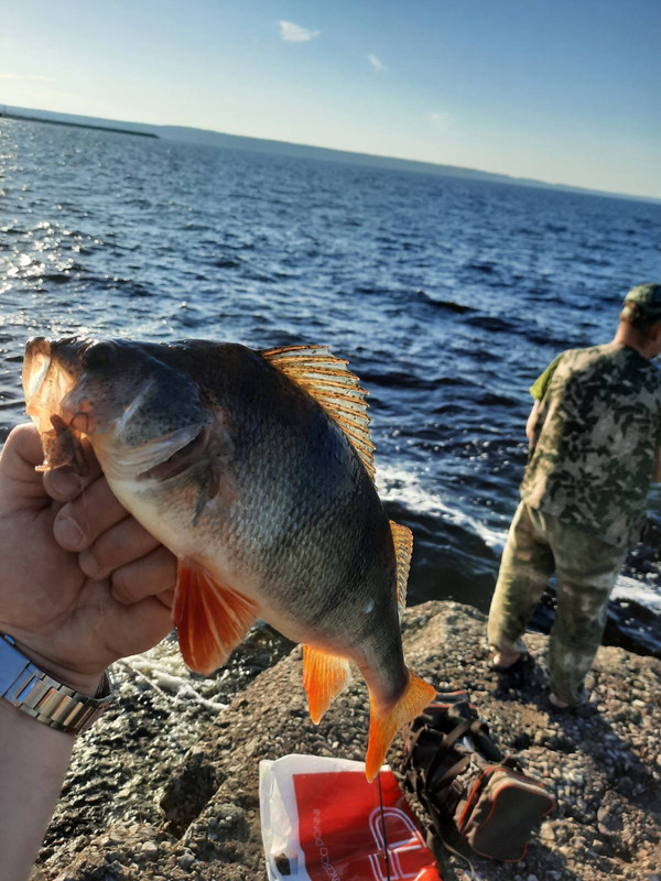 IMG e0a9dbe502bb408ff628bd37ecdc848e V — Postimages