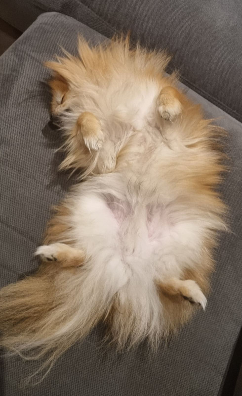 viber slika 2022 01 28 18 29 29 232 — Postimages