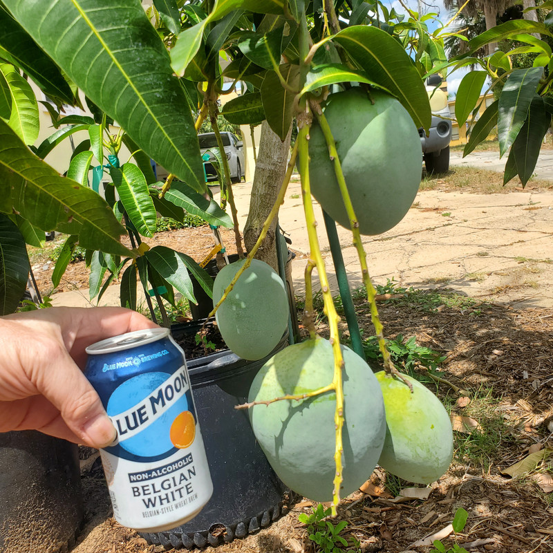 20240609 150334 — Postimages