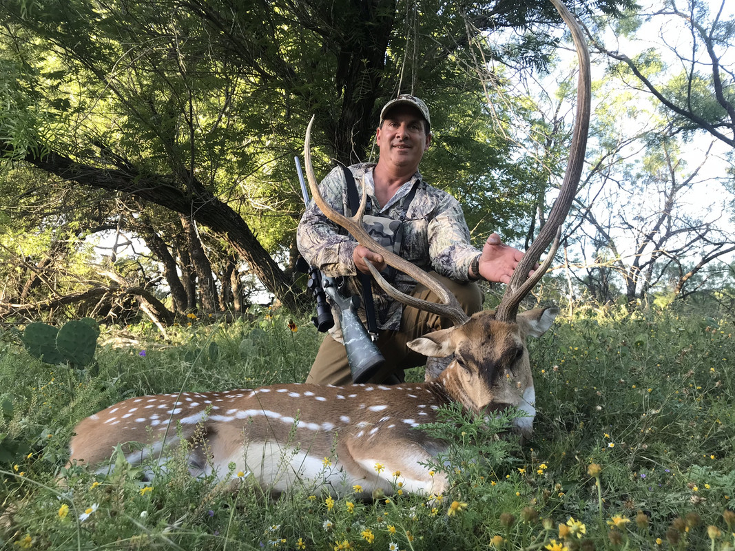 ? on 7-08 120NBT on large body 200+ lb deer... - 24hourcampfire