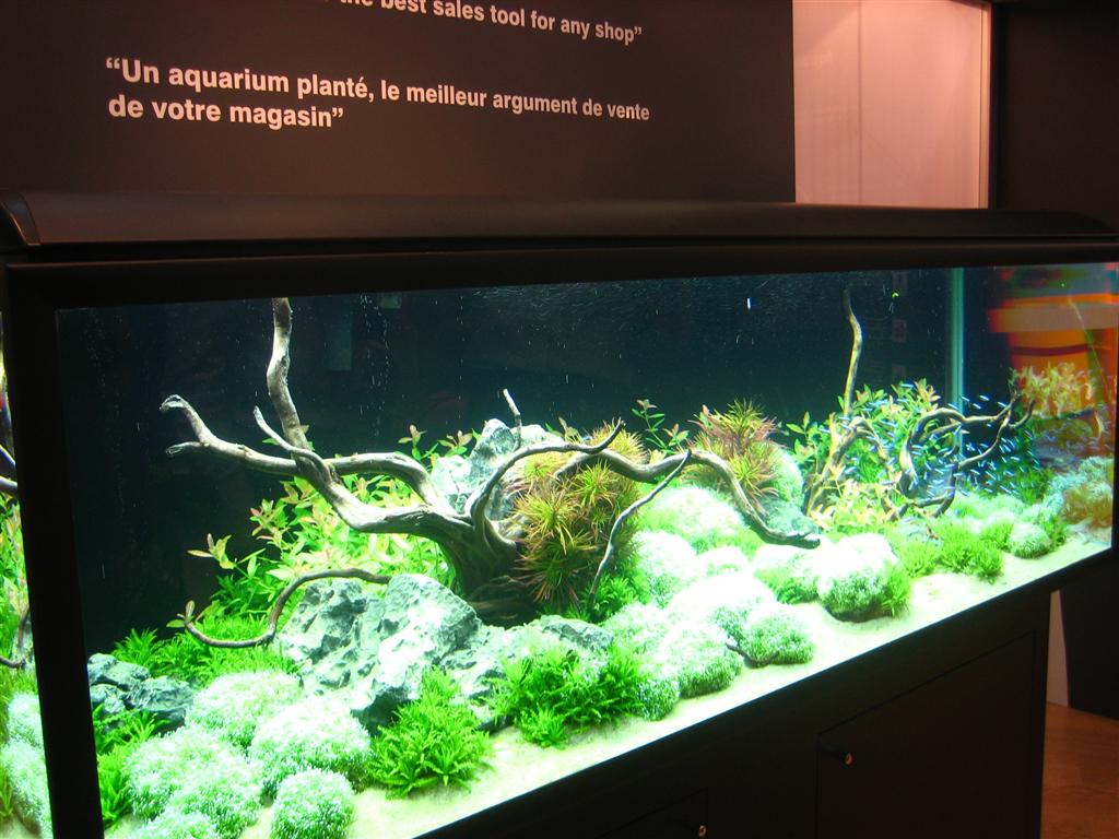 IMG 4661 Large — Postimages