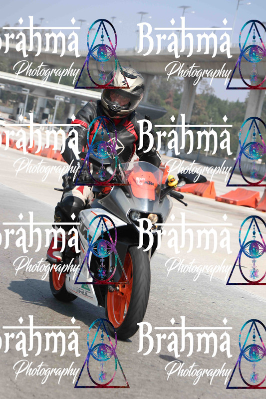 IMG 8446 — Postimages