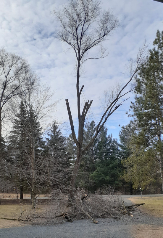 20250408 092150 — Postimages