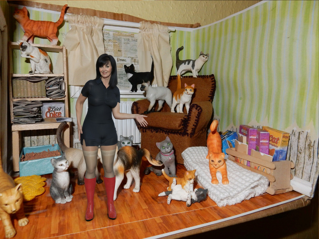 Sally the little doll cat hoarder — Postimages