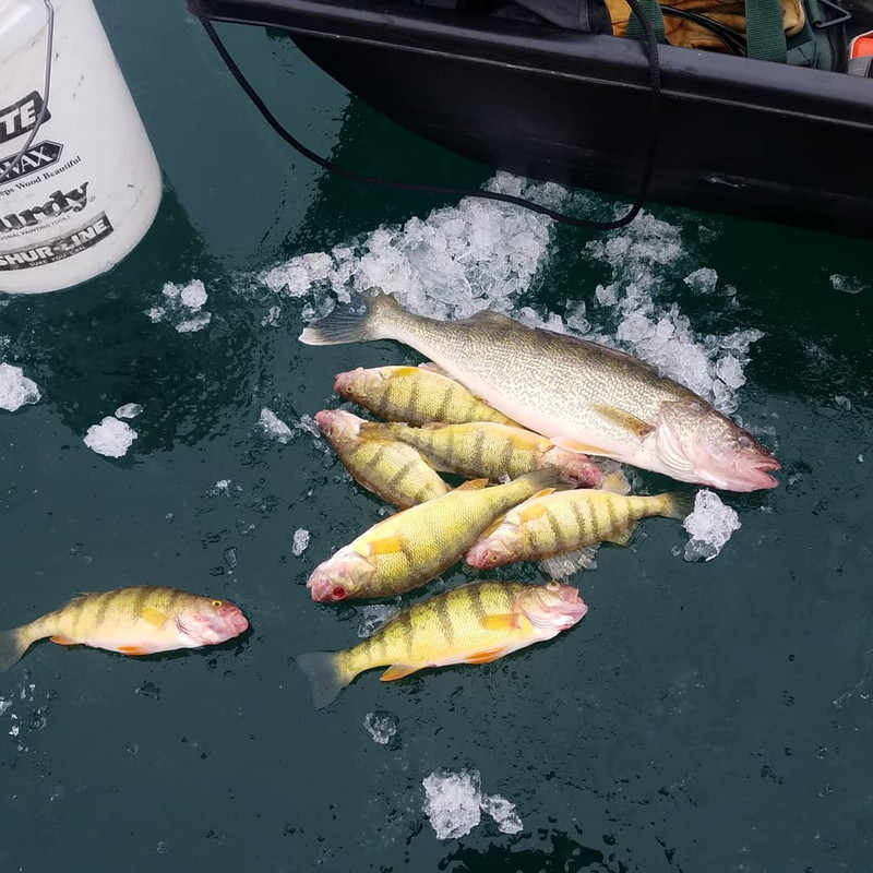 IMG 20191223 192319 219 — Postimages