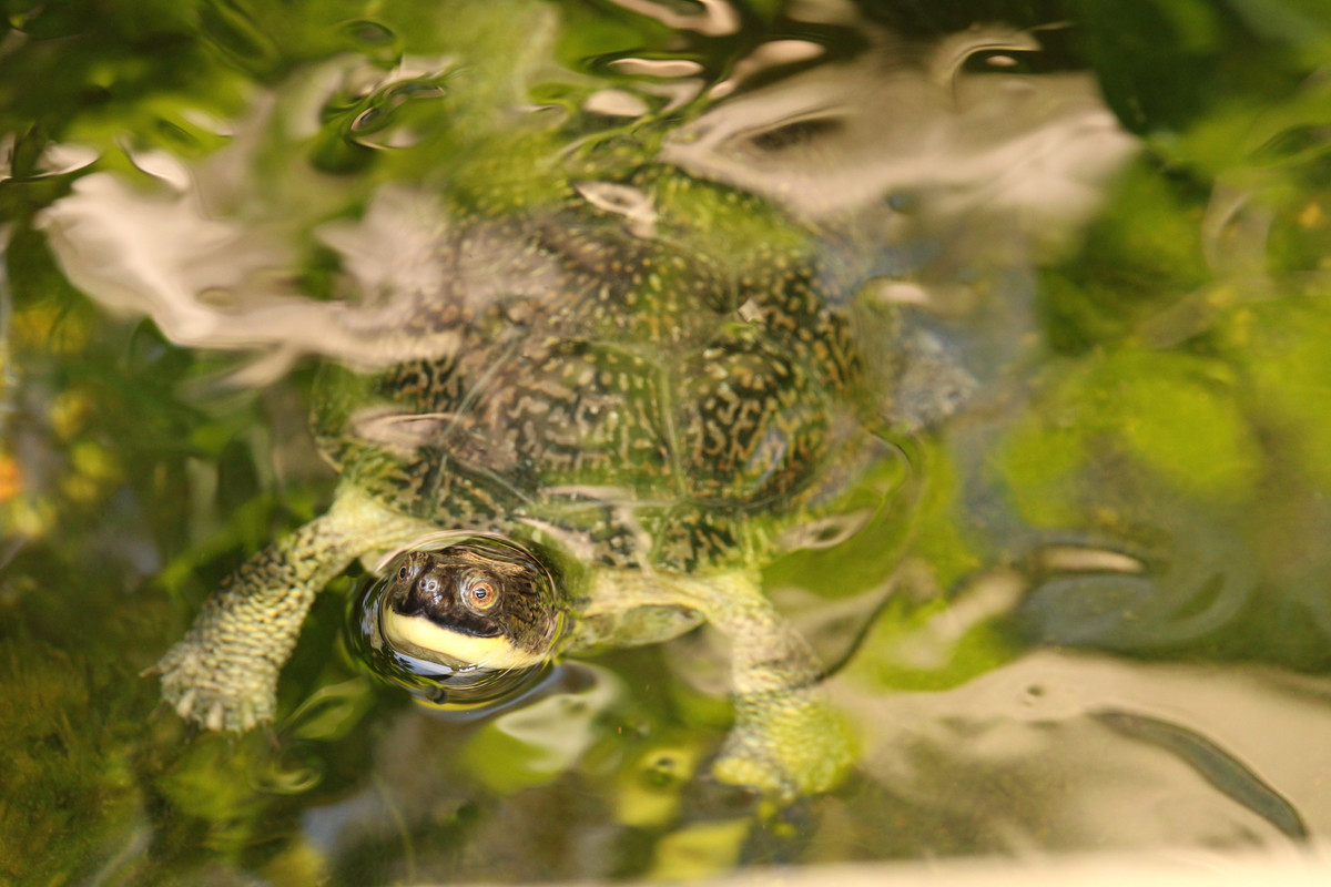 IMG 0672 — Postimages