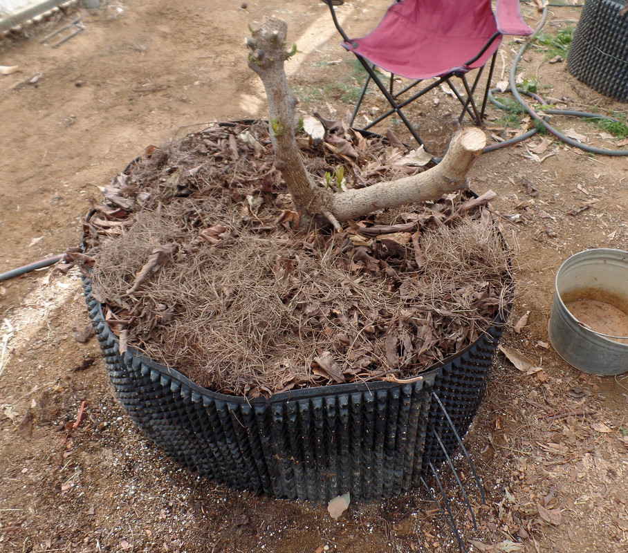 Soil Pot 4 — Postimages