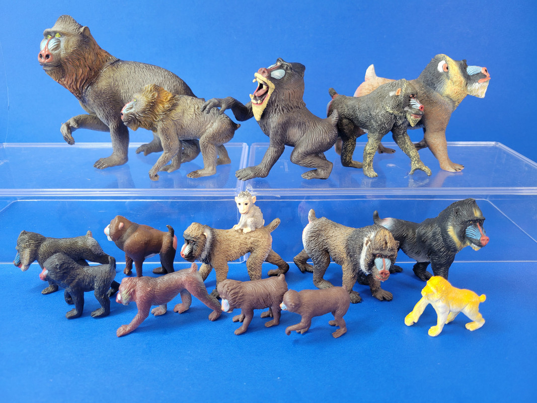 20230716 165029 — Postimages