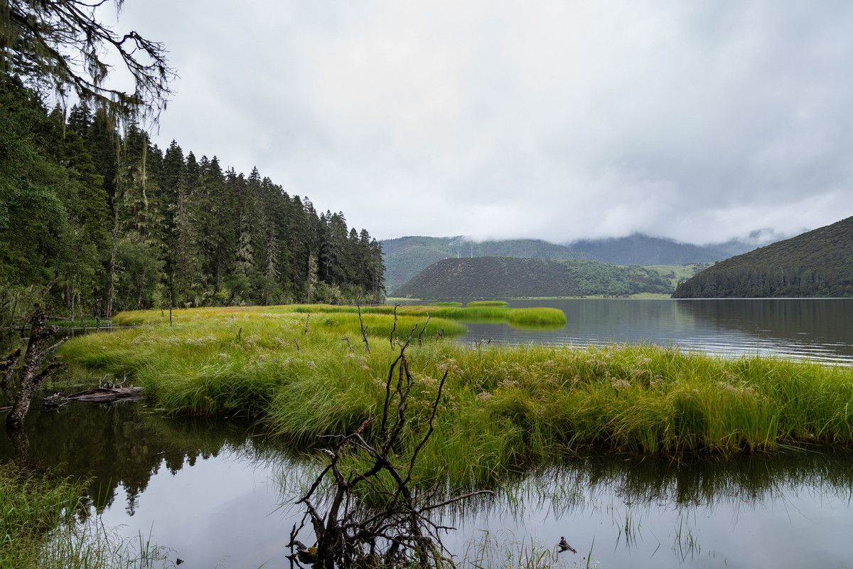 IMG 2890 Shangri La Pudacuo national Park Shudu Lake — Postimages