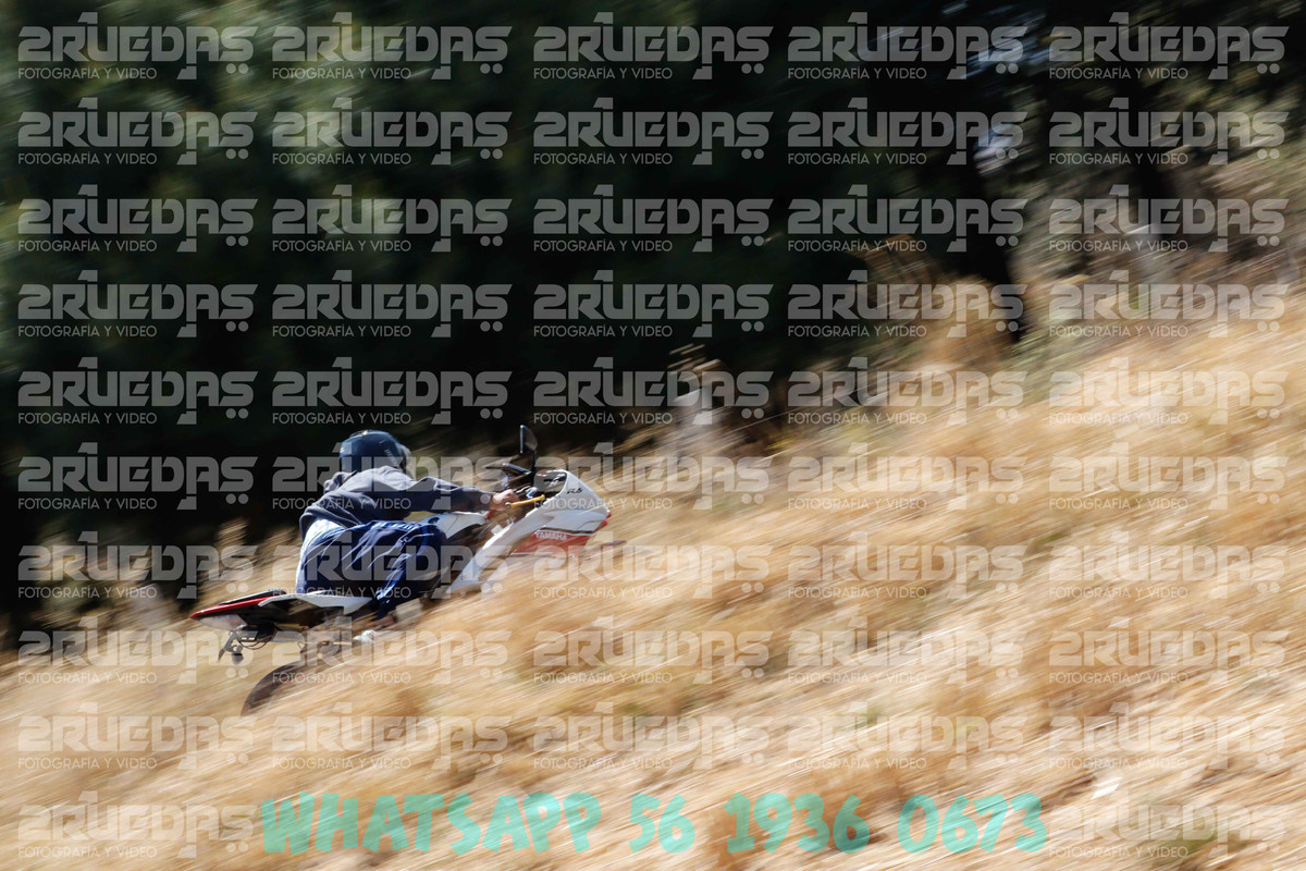 MG 0376 — Postimages