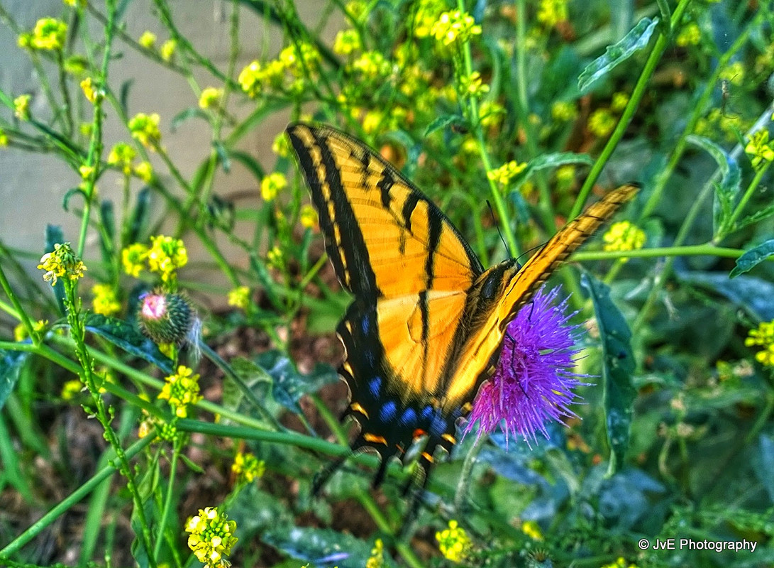 WP 20140403 19 23 08 Pro — Postimages