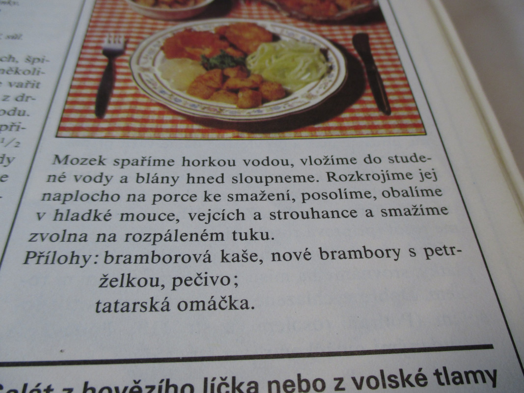 IMG 0669 — Postimages