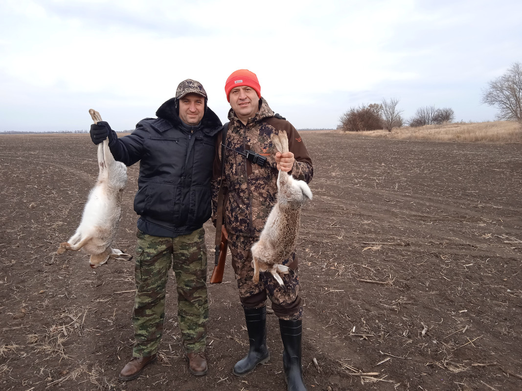 IMG 20241123 122332 1 — Postimages