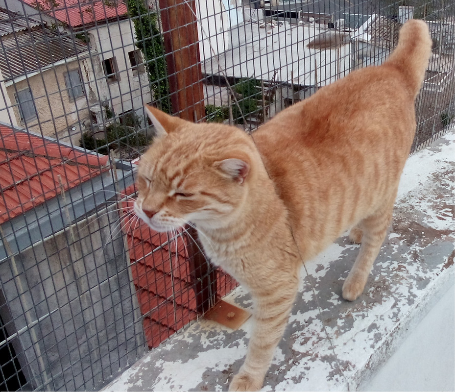 DSC 0075 cut — Postimages