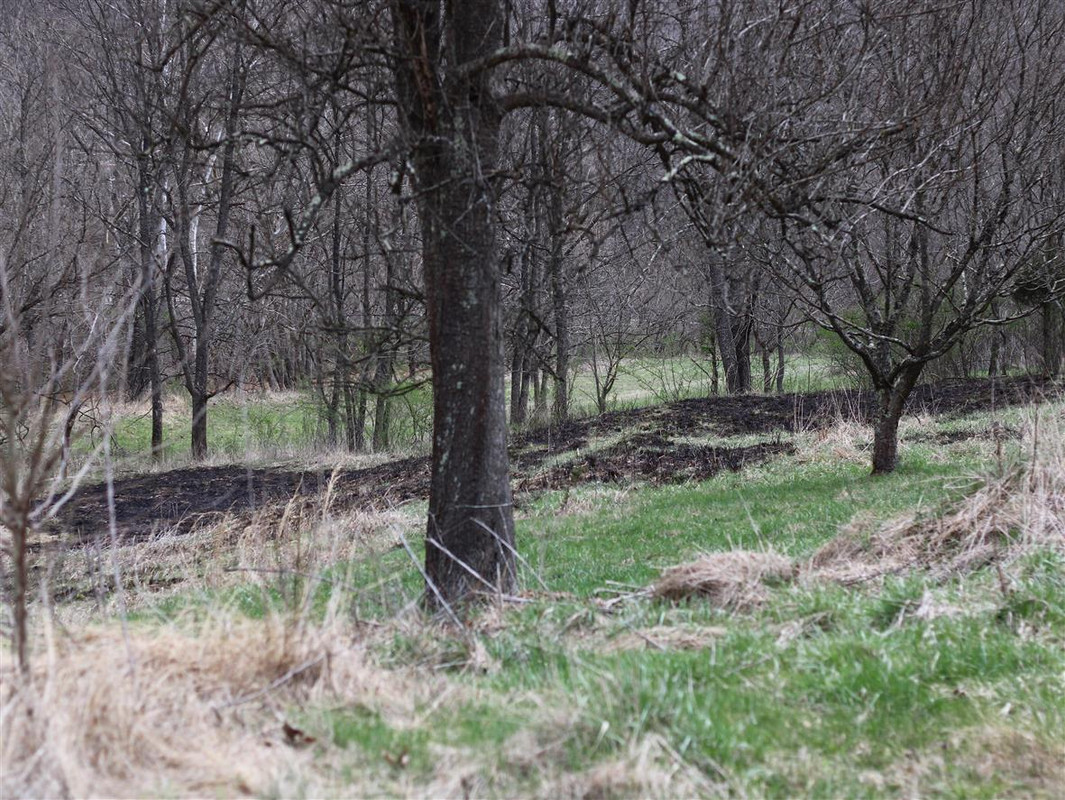 IMG 9621 — Postimages