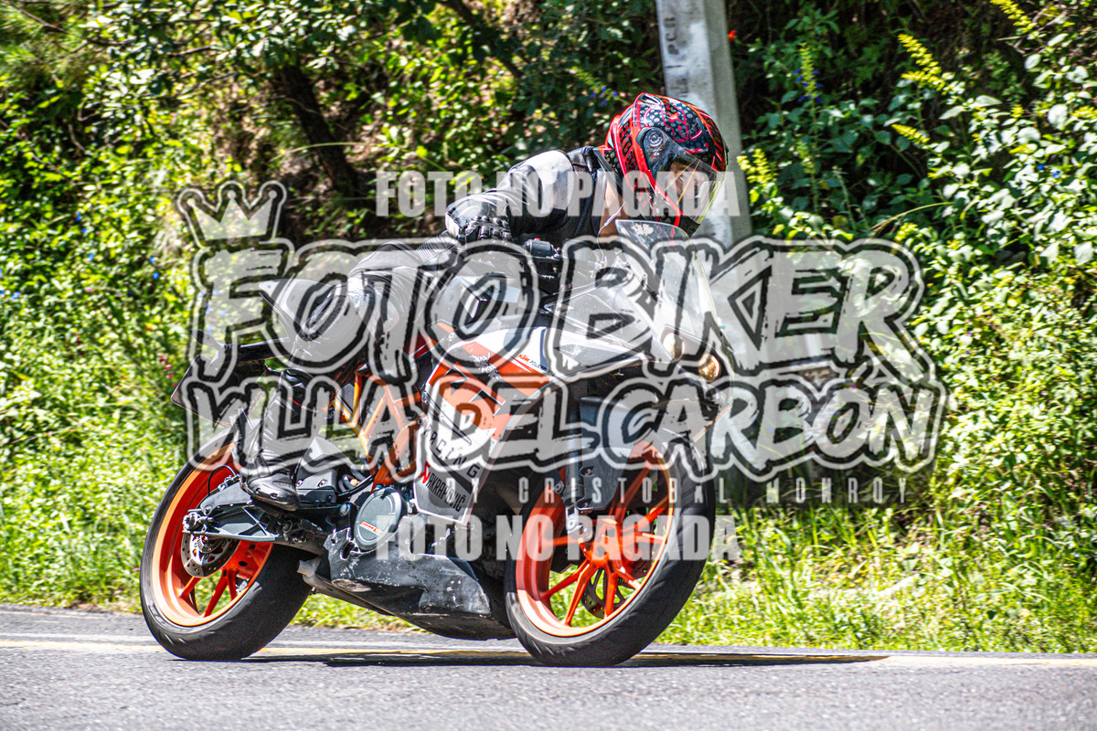 c1p2 121 — Postimages