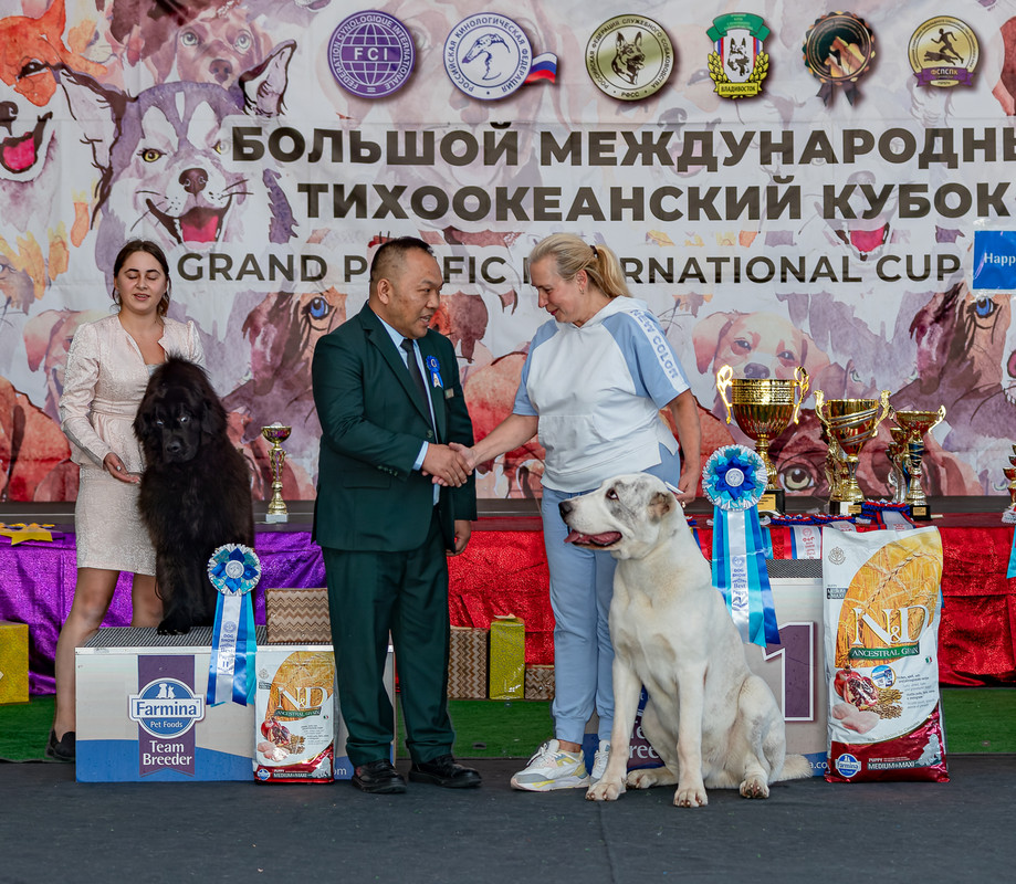 01 532 — Postimages