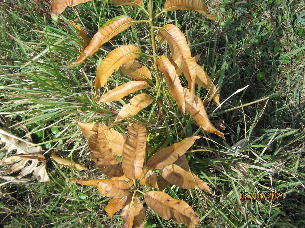 IMG 0670 — Postimages