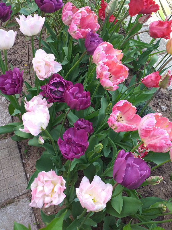 20220430 152125 — Postimages