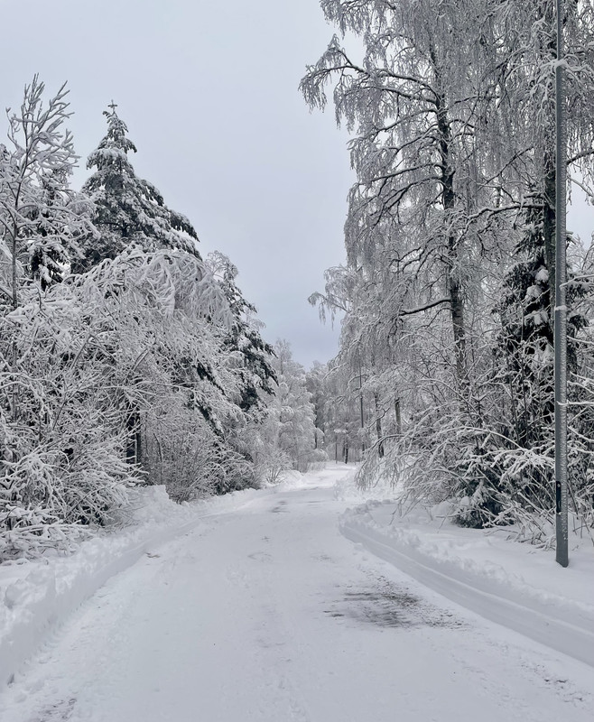 IMG 9079 — Postimages