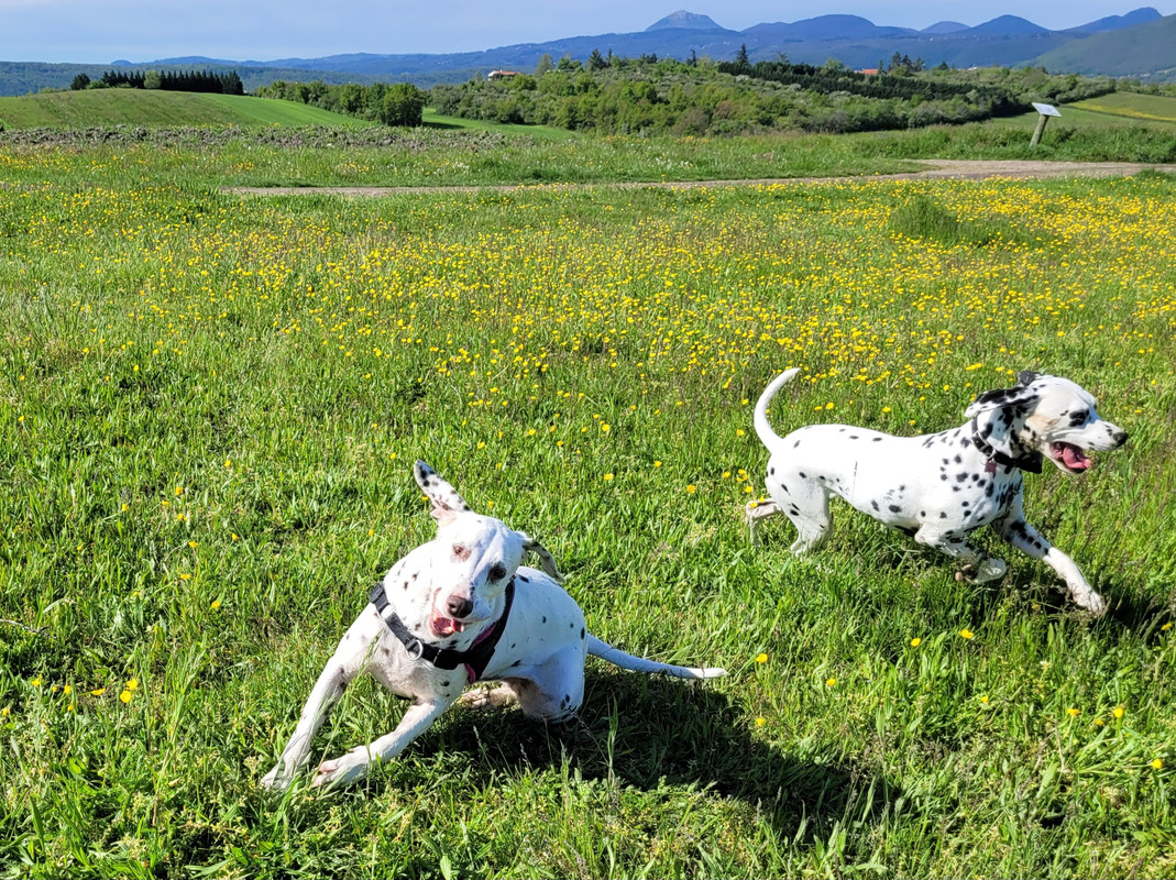 20240503 100023 0 — Postimages