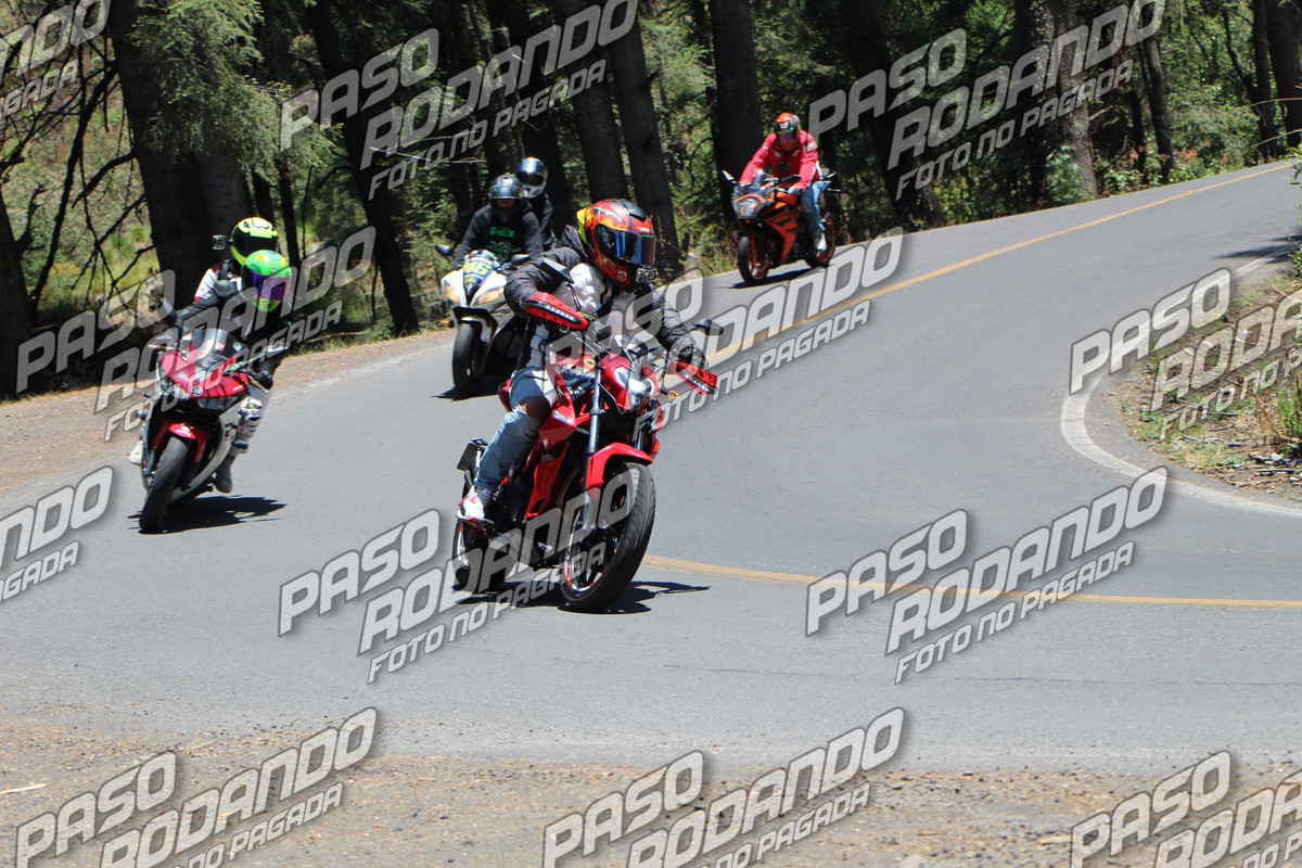 IMG 4016 wm 343227 10000000056 watermarked — Postimages