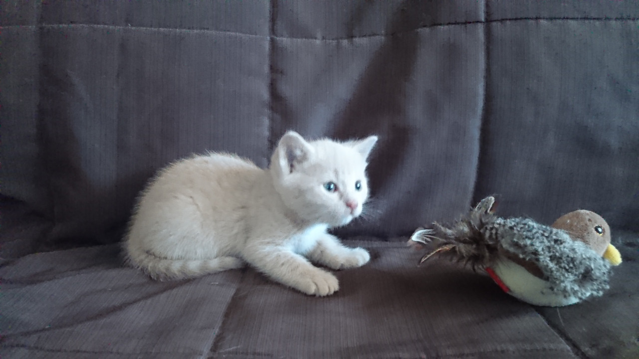 DSC 0764 — Postimages