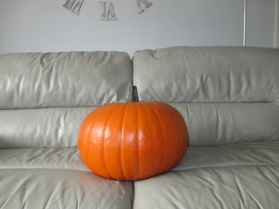 img-1823-postimages