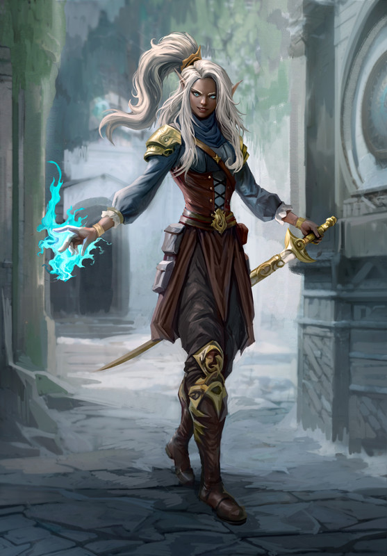 Swashbuckler | GM Binder