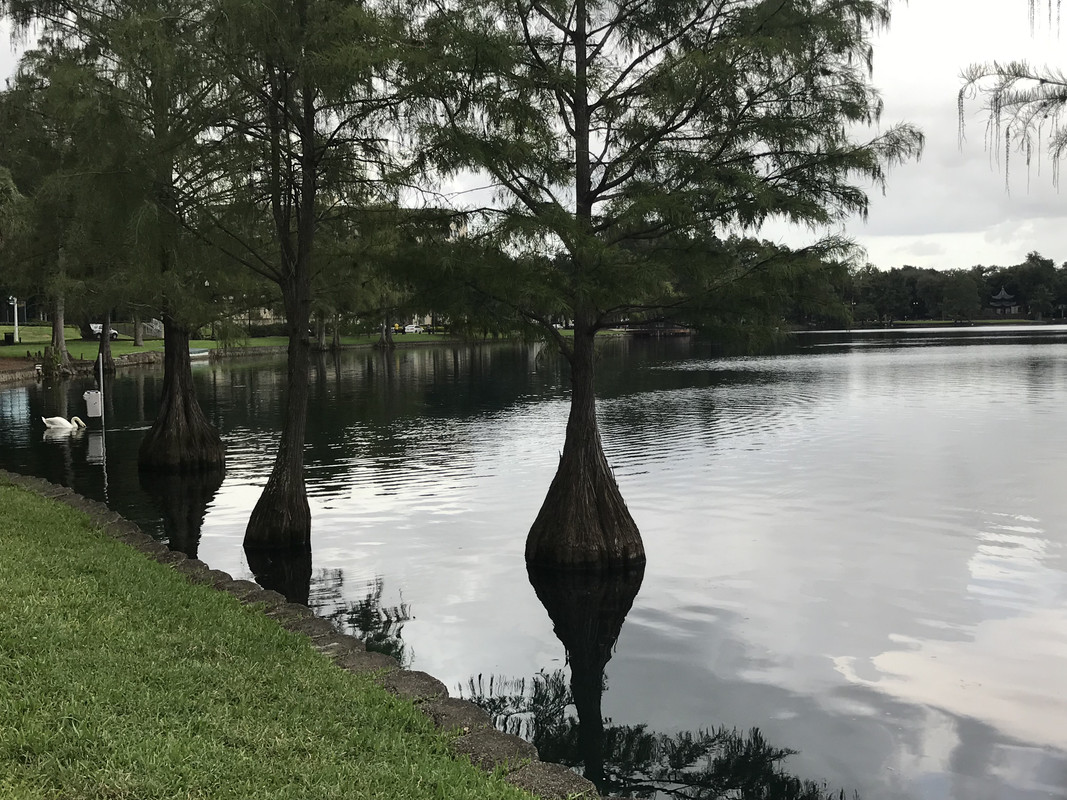 IMG 7947 — Postimages