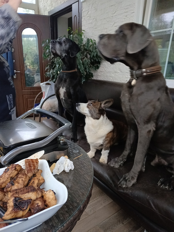 IMG 20230902 182149 169 — Postimages