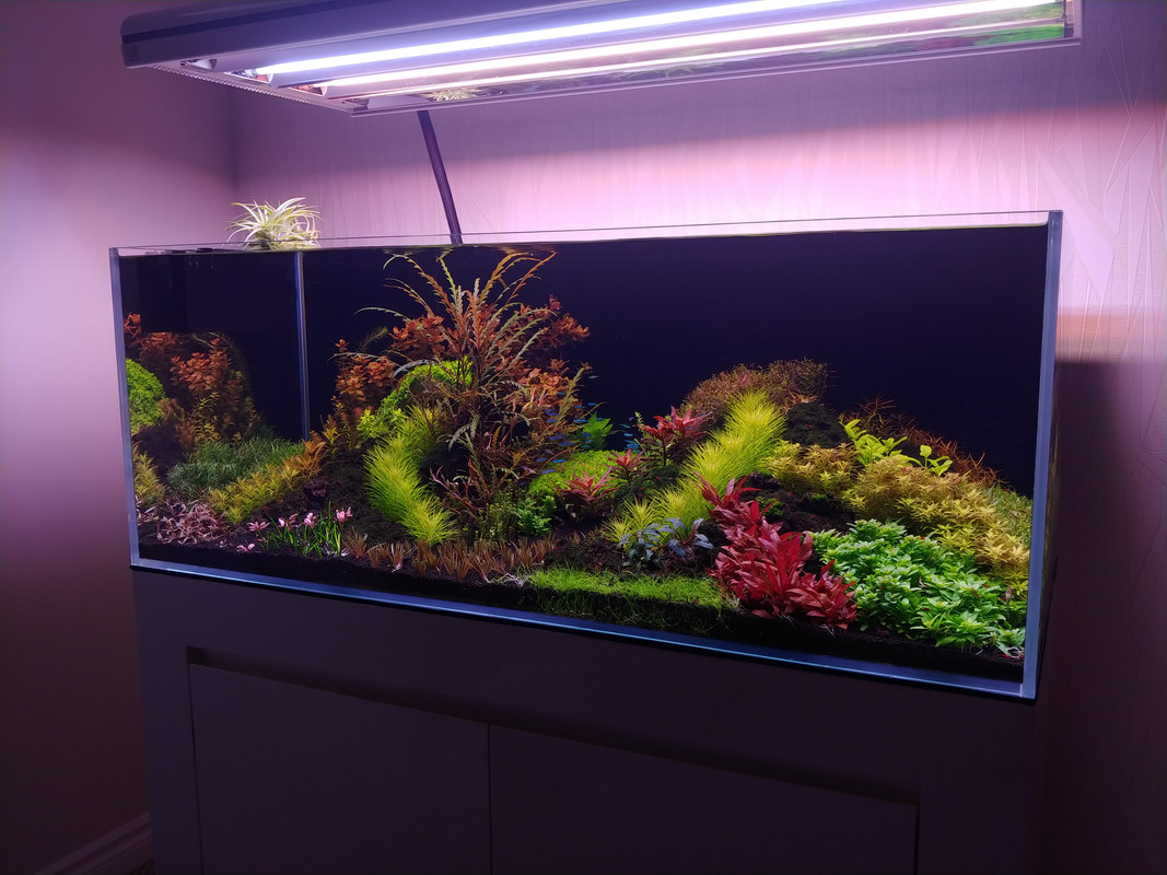 20200130 144050 — Postimages