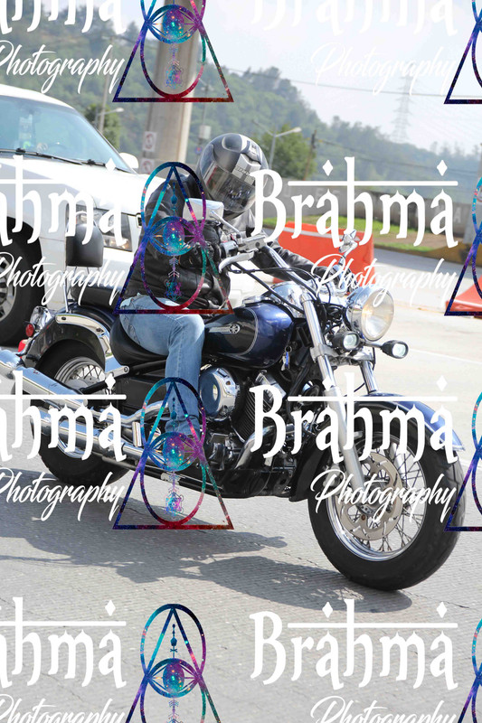 IMG 2429 — Postimages