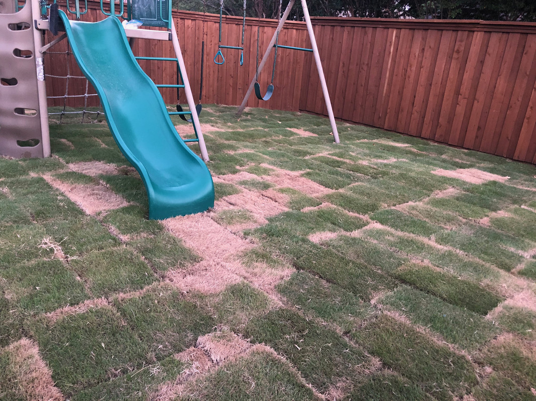 IMG 1044 — Postimages