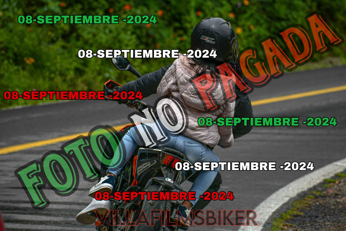 CC 231 — Postimages