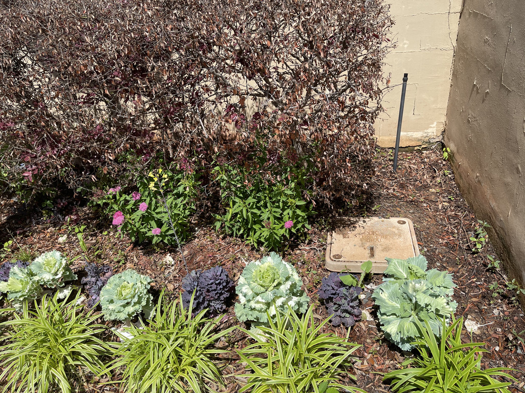 IMG 6161 — Postimages