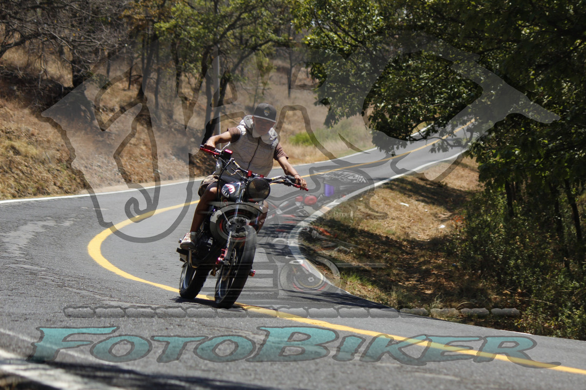 MG 0155 — Postimages