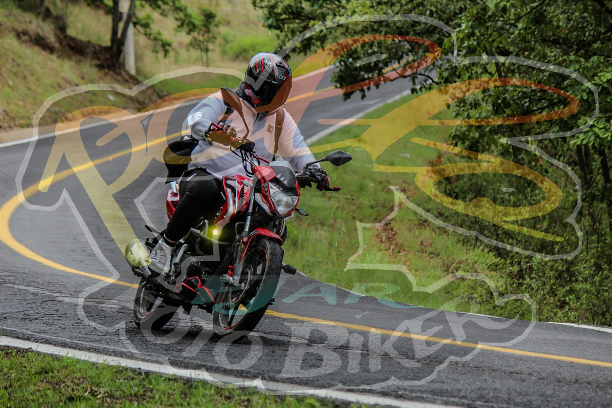 IMG 3133 — Postimages