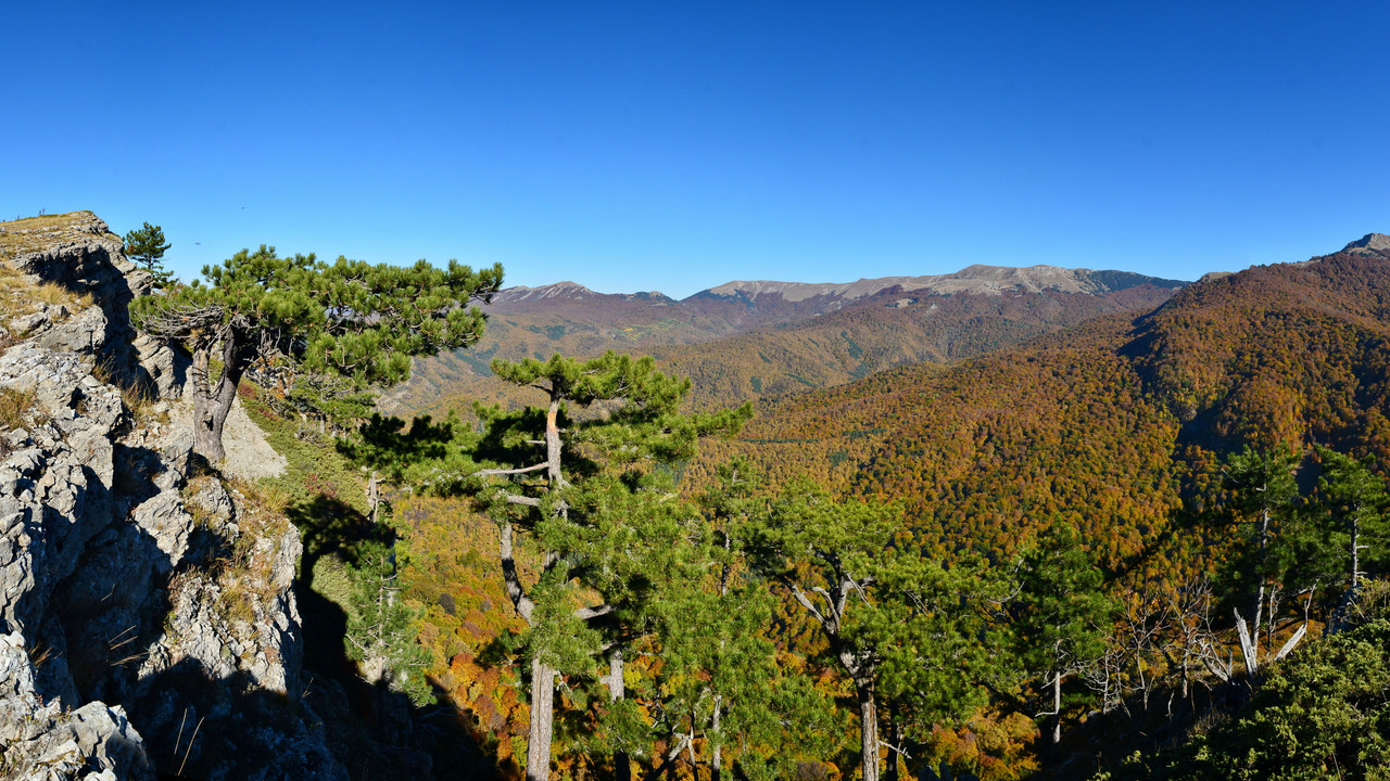 [ Group 24] DSC 8725 DSC 8745 21 images — Postimages