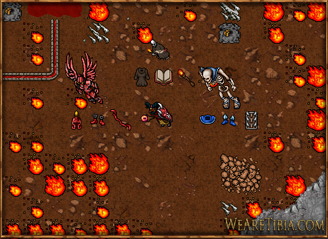 WeAreTibia Global - Latestnews