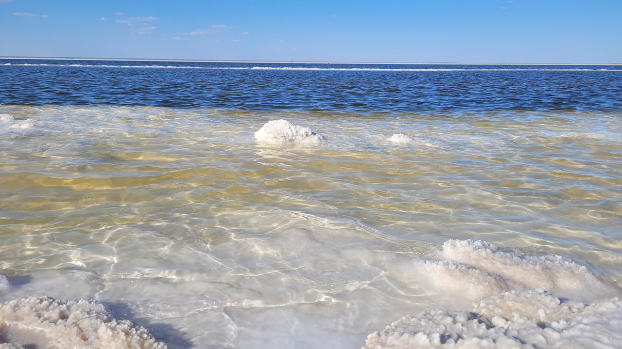 20230819 171647 — Postimages