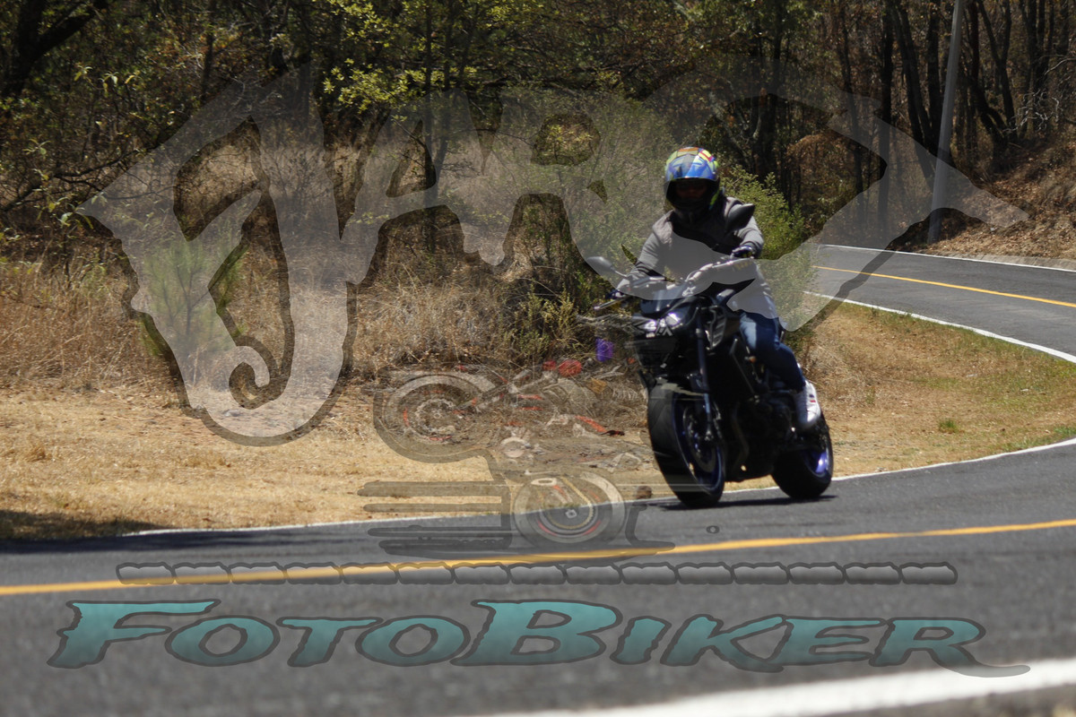 MG 0243 — Postimages