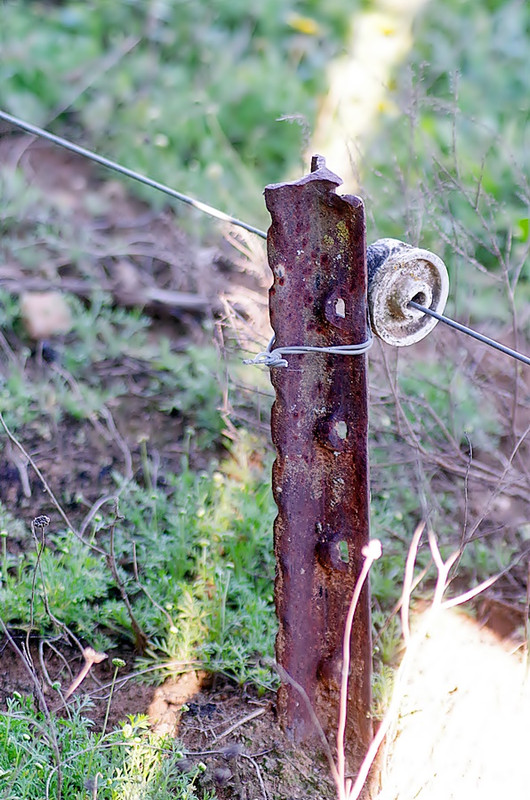 Rusty pole? — Postimages